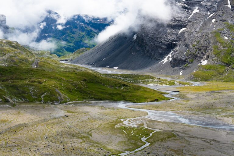 Vali: The Overlooked Avenger of Norse Mythology – Fate Lines