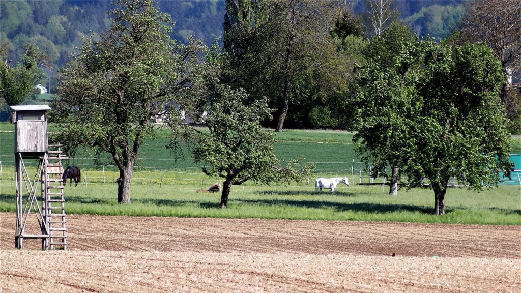 Aker: The Guardian of the Horizon in Ancient Egypt – Fate Lines