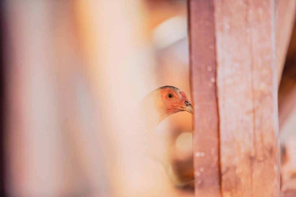 The Multifaceted Nature of Hermes in Greek Mythology – Fate Lines