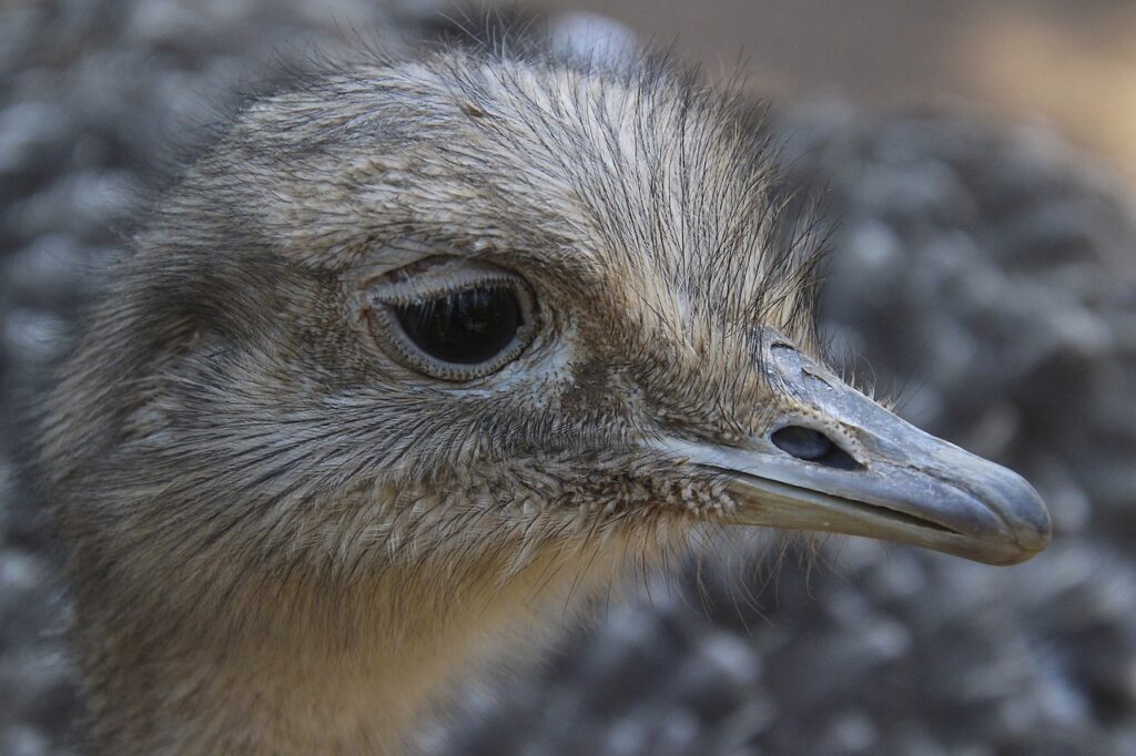 Rhea: The Titaness of Motherhood and Fertility – Fate Lines