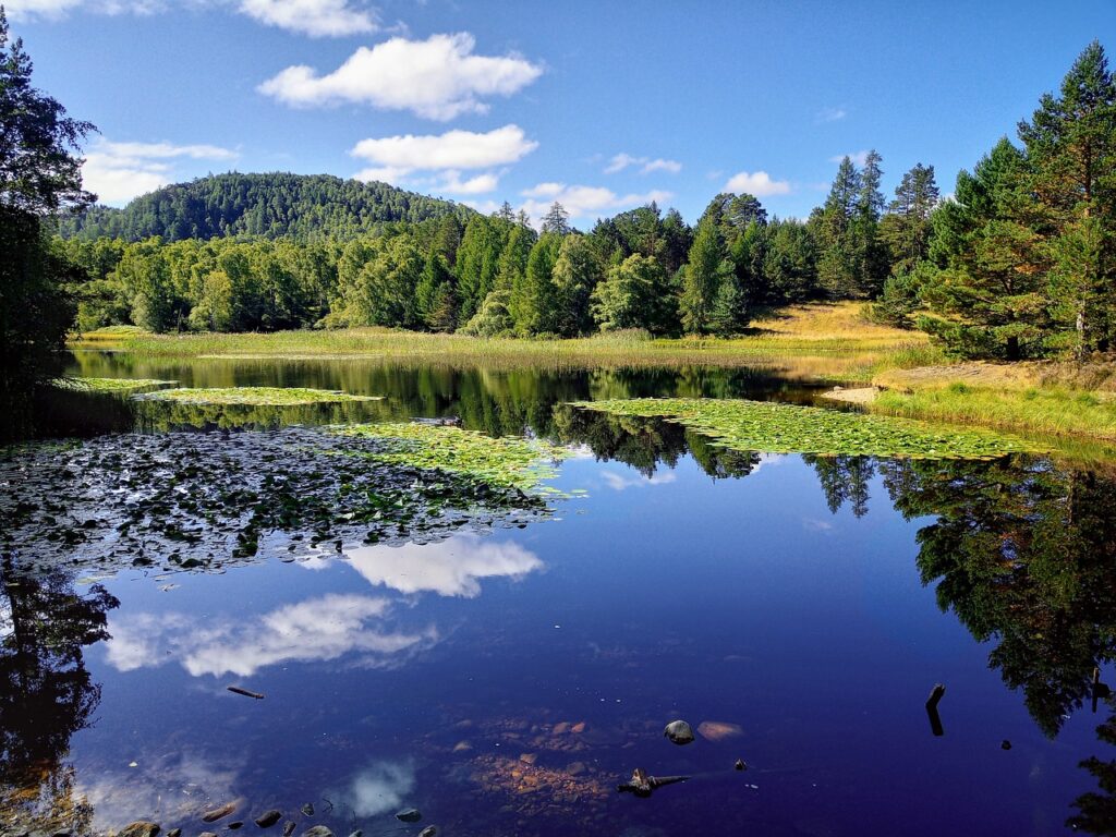 Mors: The Roman Deity of Death and Darkness – Fate Lines